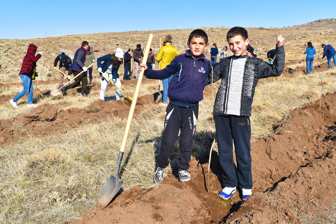 News : 250,000+ Trees Provide Local Benefits and Support Global Climate ...